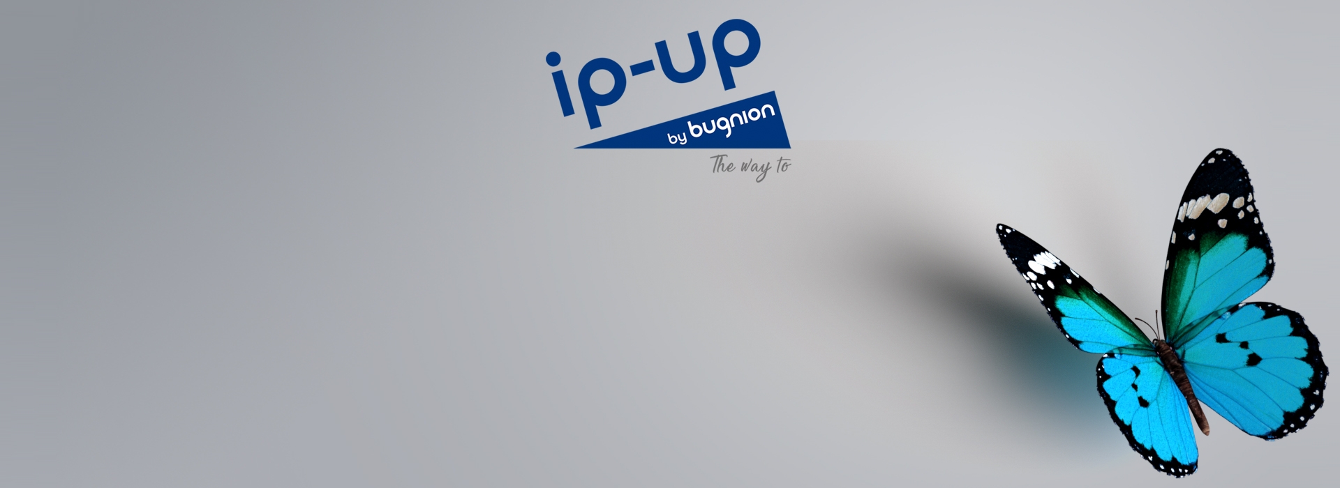 Consulenti Proprietà Industriale e Intellettuale | Bugnion